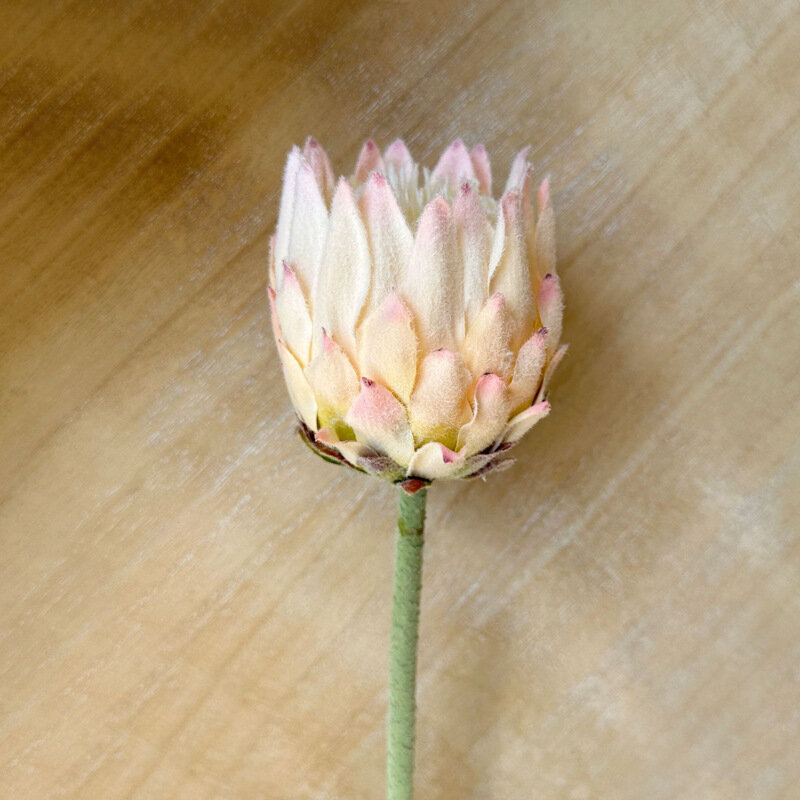 Имперский цветок, искусственный цветок, одиночная ветка, нордический чертополох, простое домашнее украшение, свадебный декор, имперский цветок, кросс-бордер, искусственный цветок