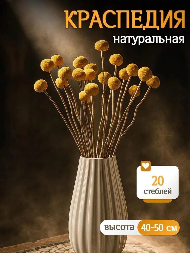 Стабилизированные цветы