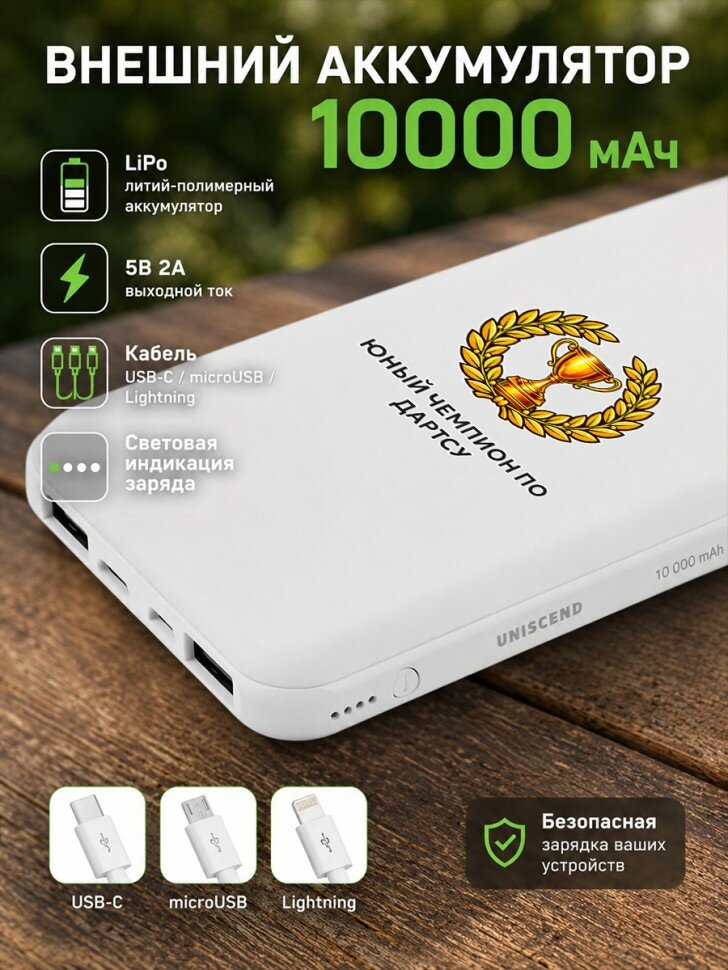 Внешний аккумулятор Power Bank 10000 мАч с надписью "Юный чемпион по дартсу"