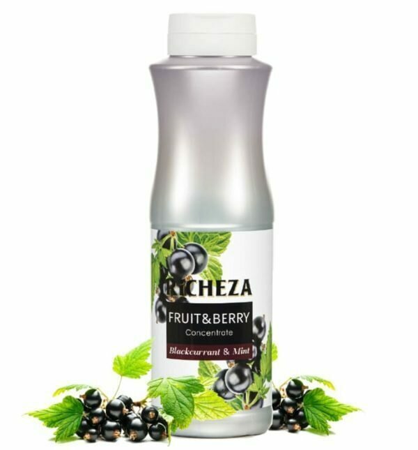 Концентрат RiCHEZA Черная Смородина-Мята бутылка пластик (1кг) шт
