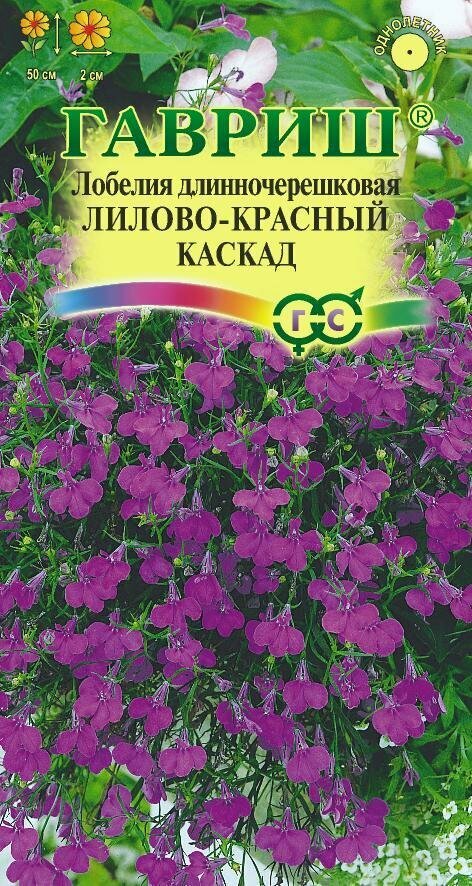 Цена за 10 пачек! Семена Лобелия Лилово-красный Каскад ампельная 0,01г Одн 50см (Гавриш)