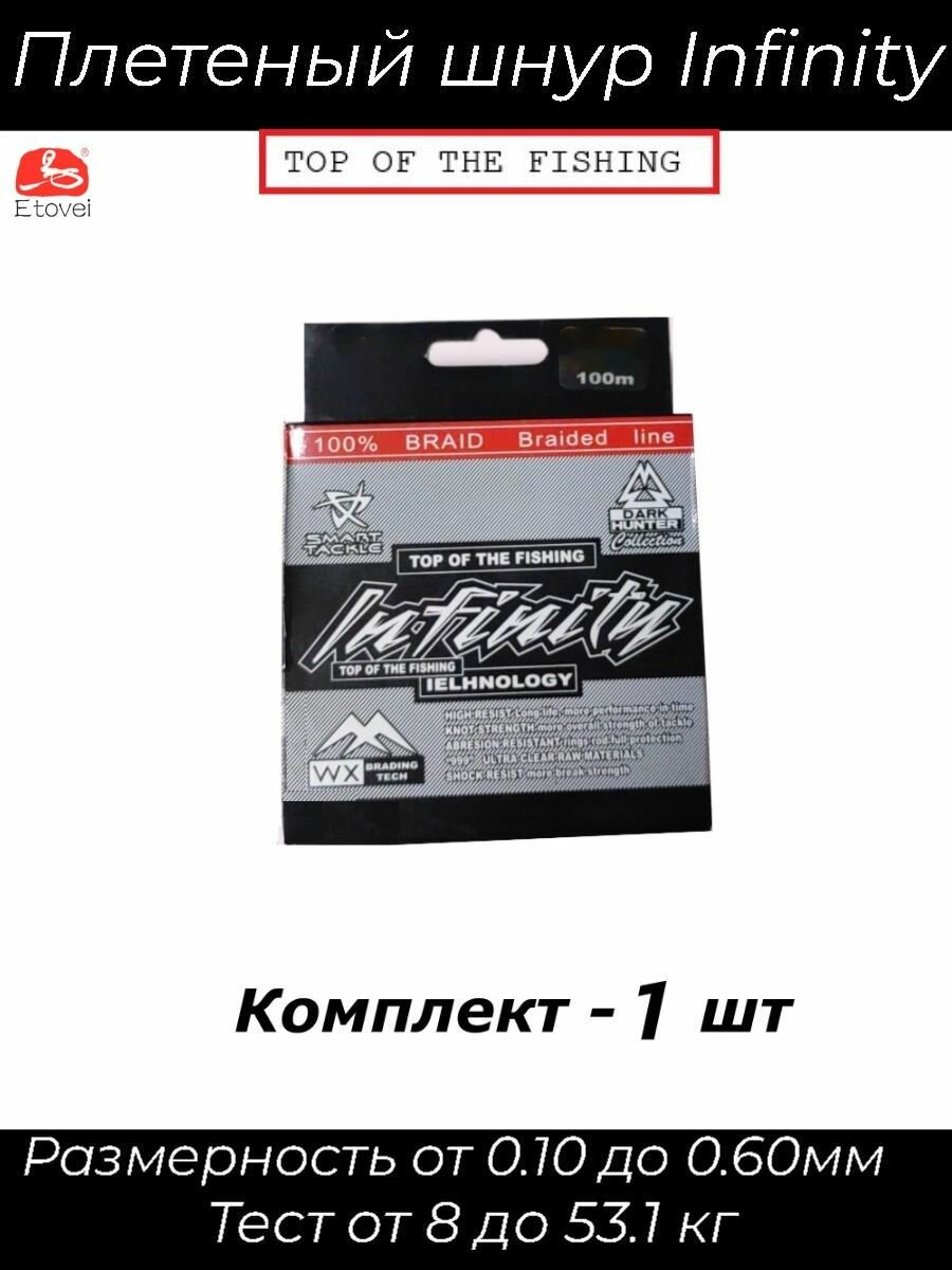 Плетеный шнур Infinity 0.25мм 21.2кг, 100м рыболовный, для рыбалки, спиннинга, леска плетеная для рыбалки, 1 шт.