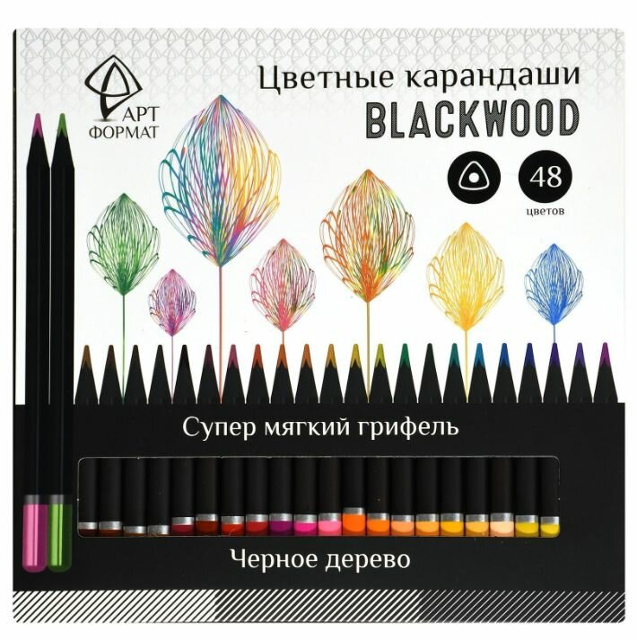 АРТформат Набор карандашей Blackwood, 48 цветов, трехгранный деревянный корпус