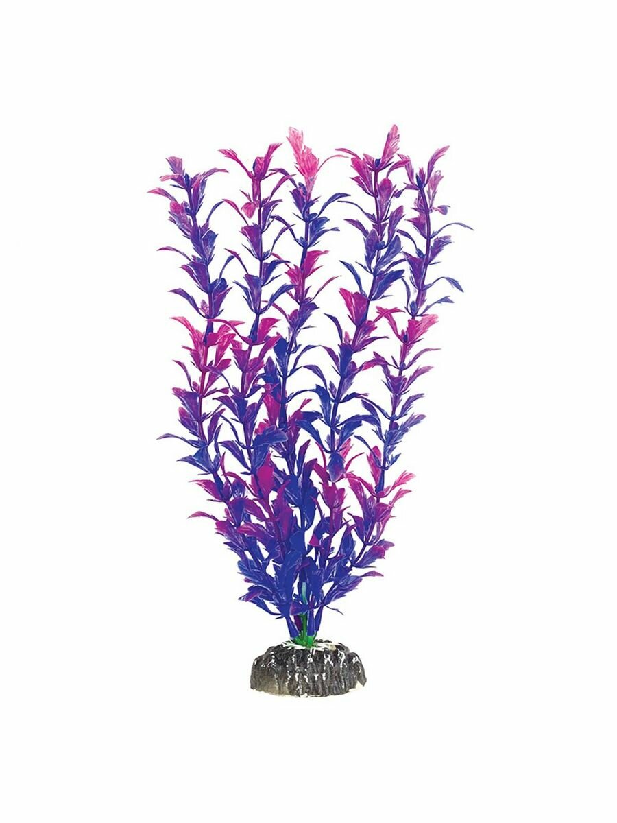 Растение Laguna "Людвигия фиолетовая", 30см