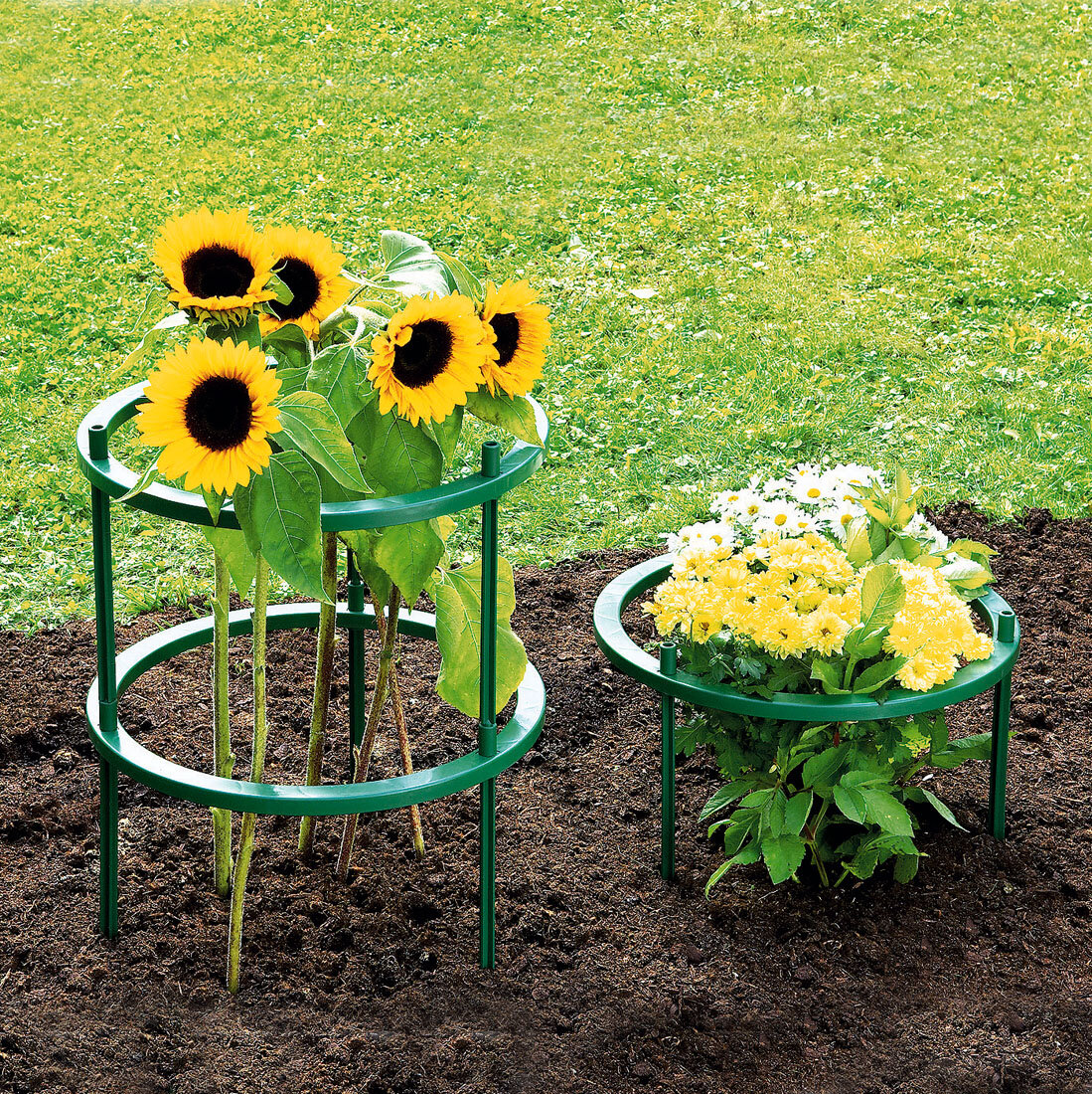 Крепления для растений "Кольца", 5 штук