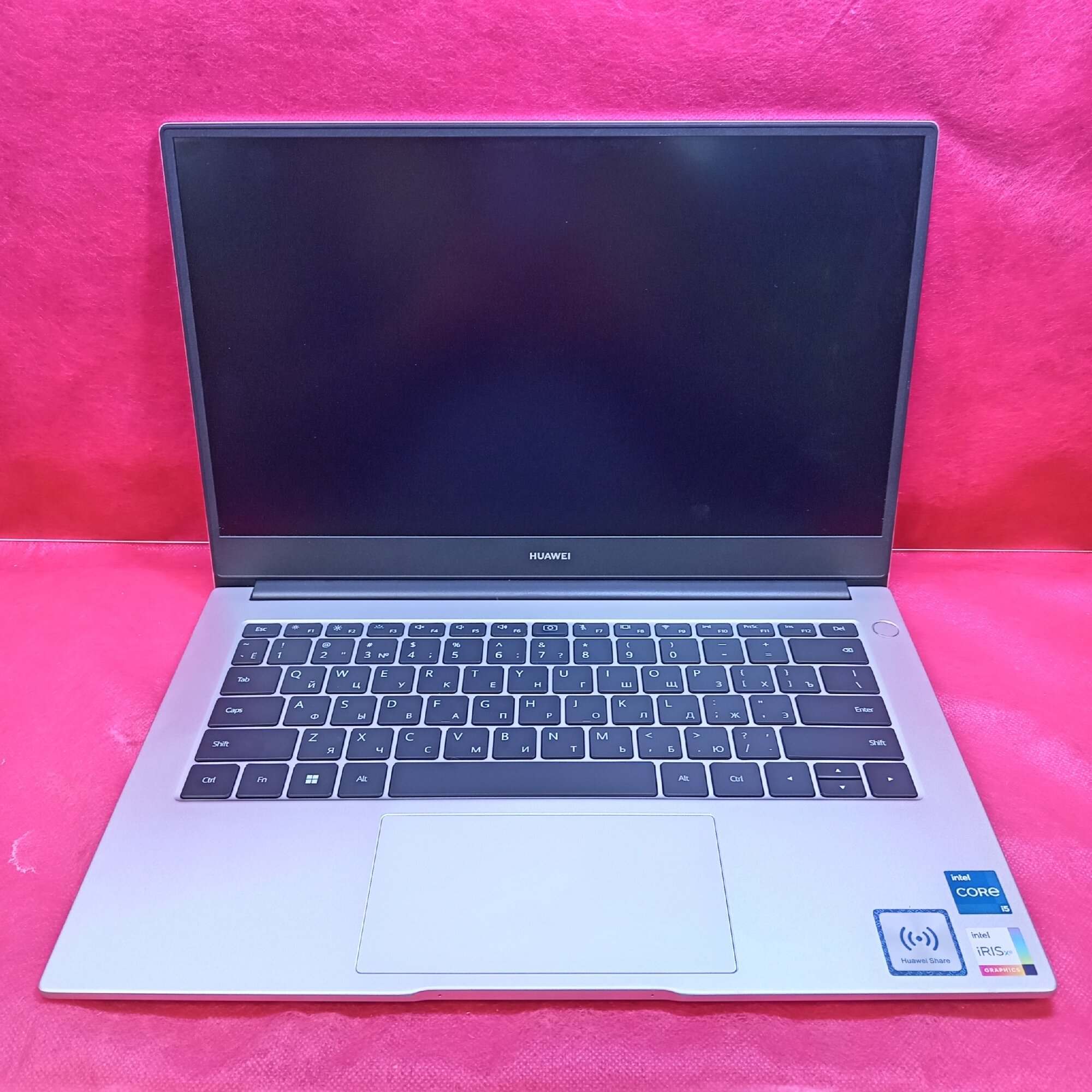 Ноутбук Huawei MateBook D 14 NbD-WDH9