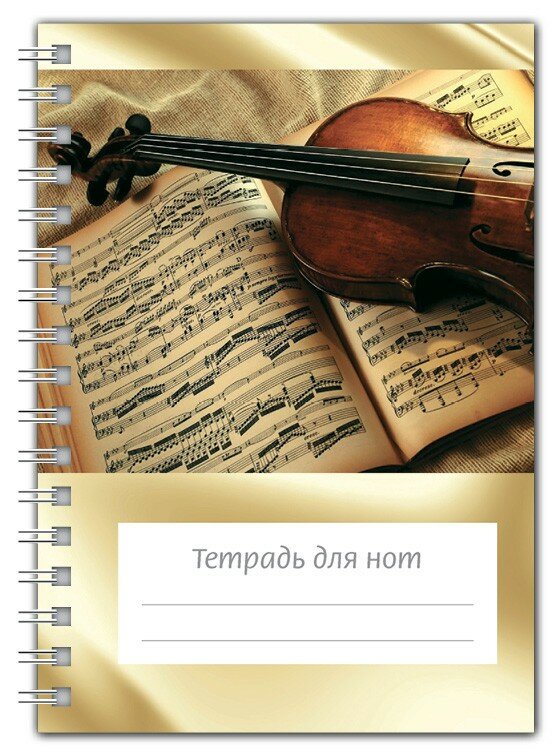 Тетрадь для нот "Скрипка на нотах" (24 стр, А6). Вертикальная/Пружина ИПД286