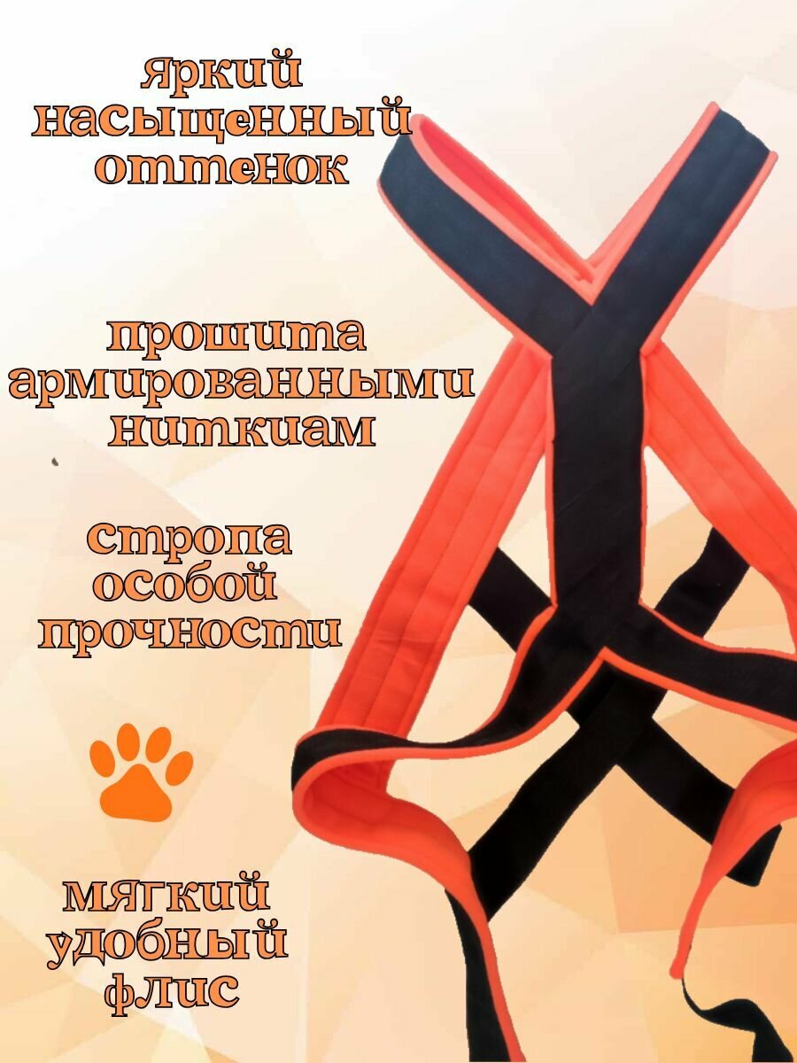 Шлейка для вейтпуллинга — фото 1