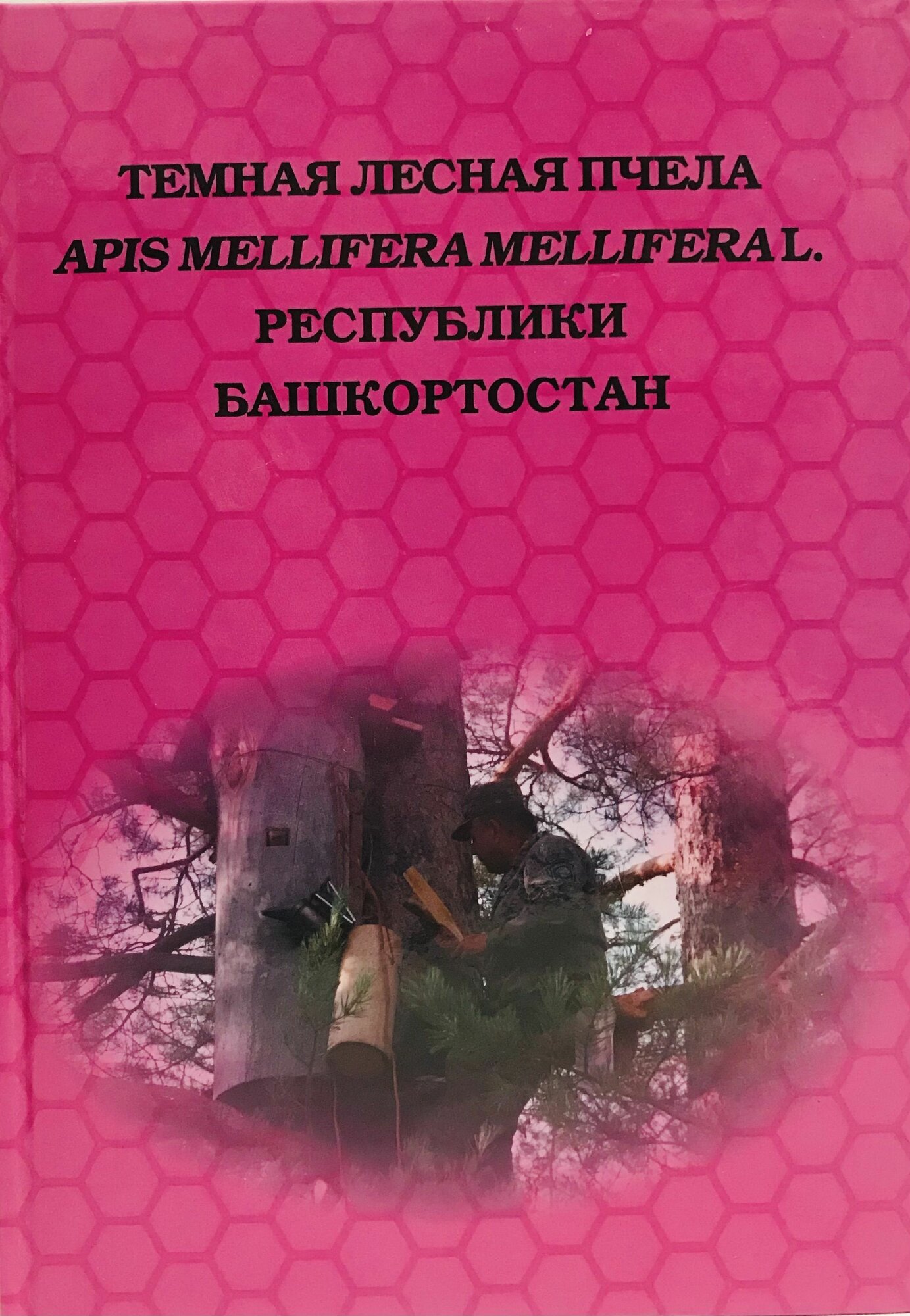 Темная лесная пчела Apis mellifera mellifera L. Республики Башкортостан