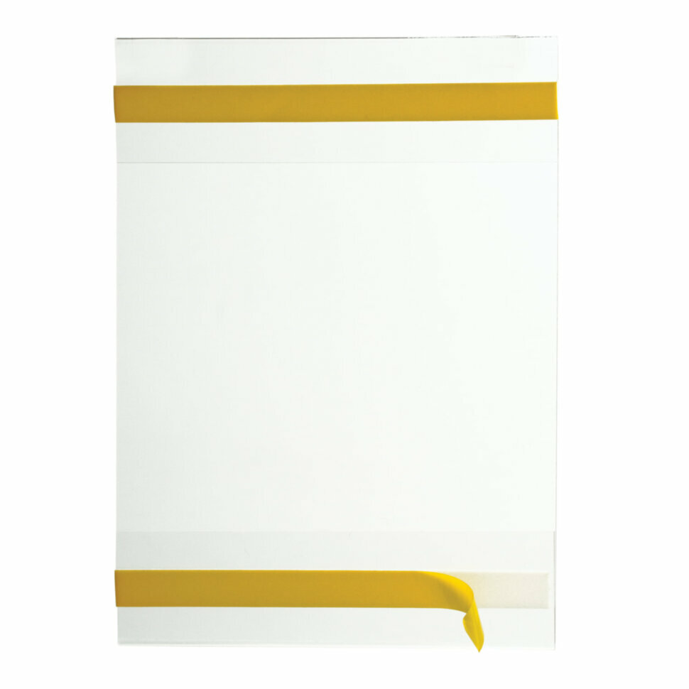 Карманы информационные самоклеящиеся PS-T, А5, вертикальные, комплект 10 шт, ПЭТ, толщина 0,3 мм, 171886, 291004