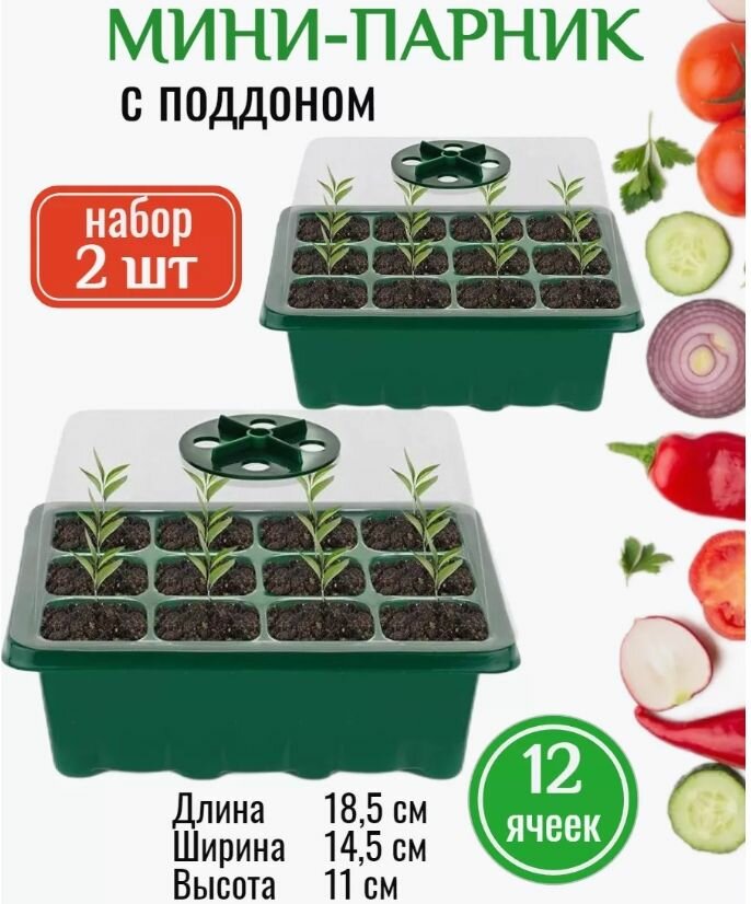 Мини-теплица, зеленый световой короб с 6 отверстиями,2 шт.