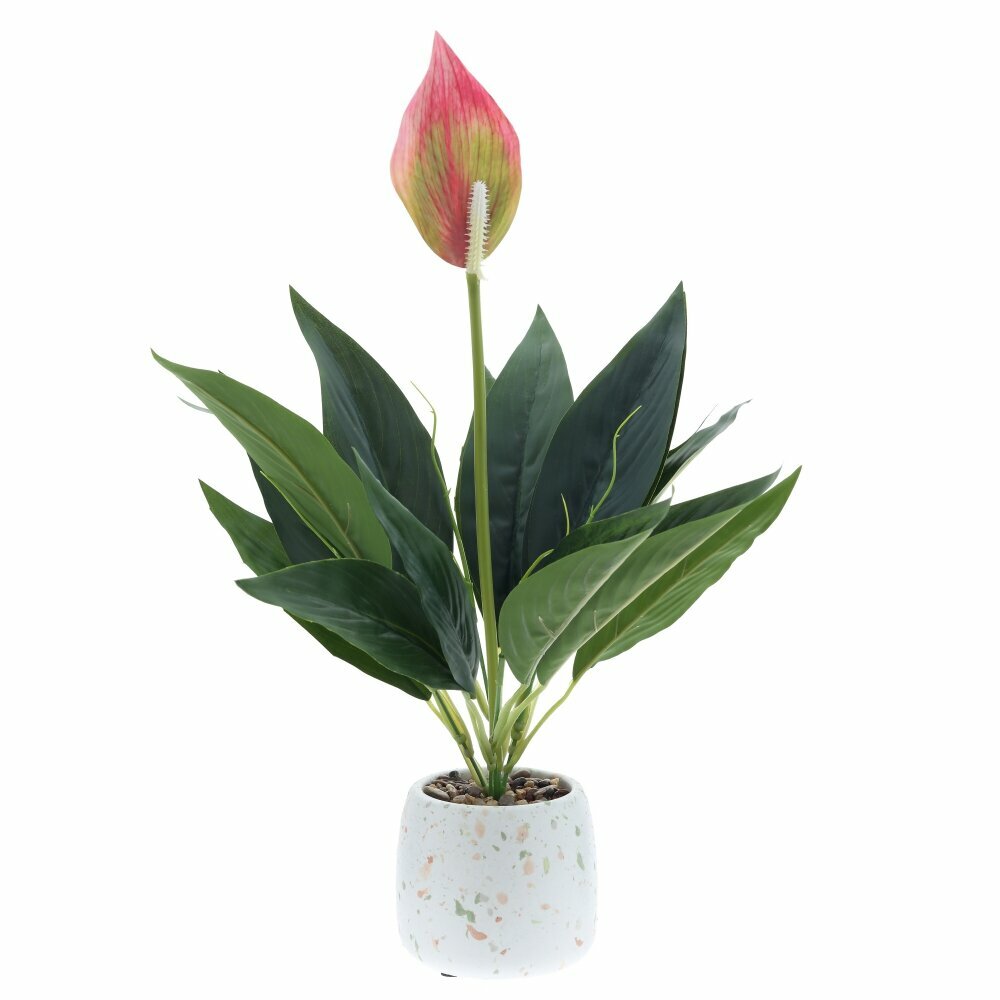 Цветочная композиция Спатифиллум, 17х12х40 см KSM-816497