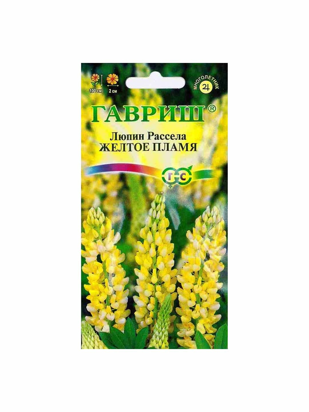 Семена Люпин Желтое пламя, многолетние, Гавриш, 1 пачка - 0.5г семян