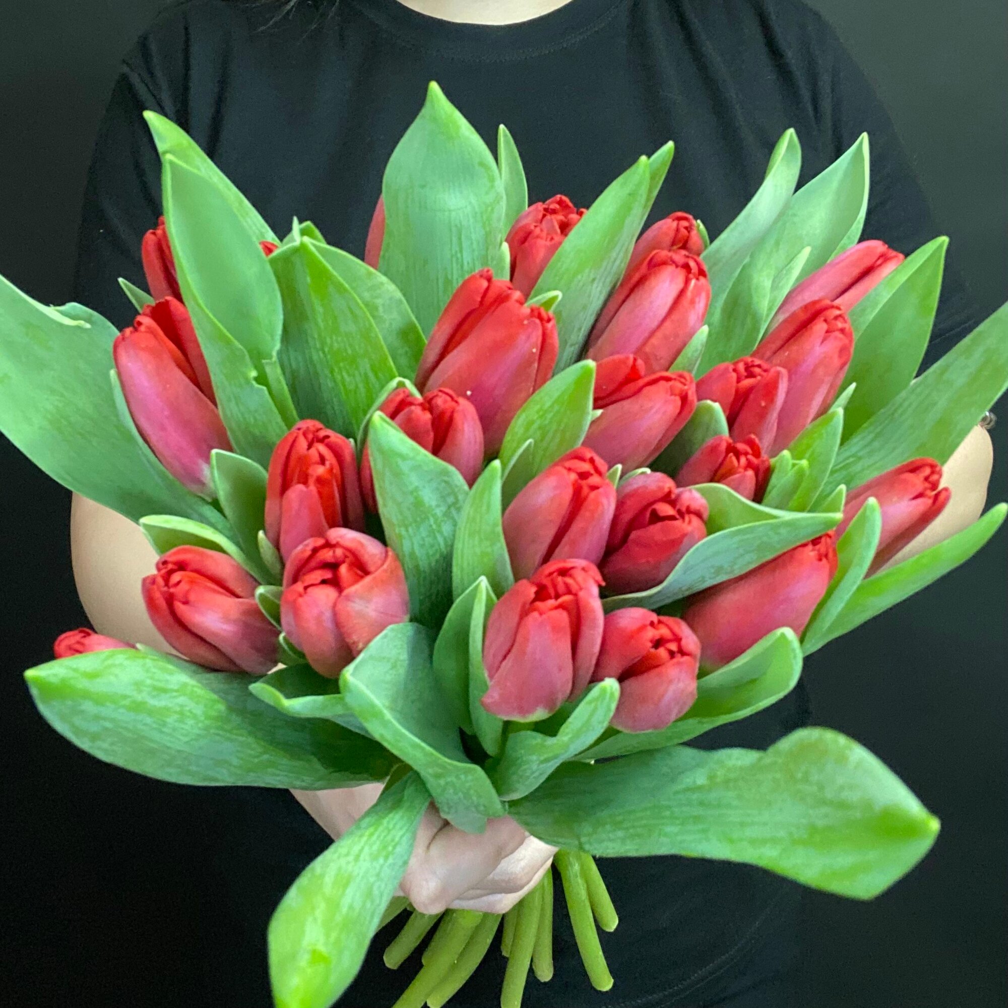 Тюльпаны красные