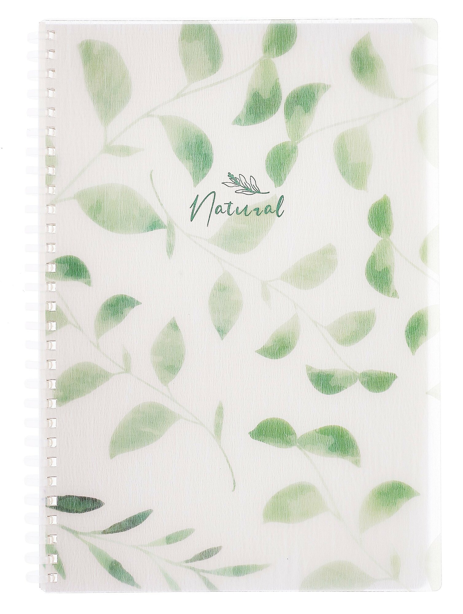 Тетрадь B5 80 листов, клетка, "Natural leaves"