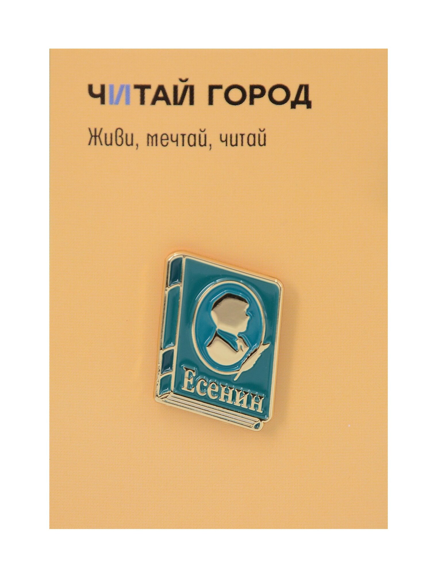 Значок металлический Книга Есенин (КЕ1)