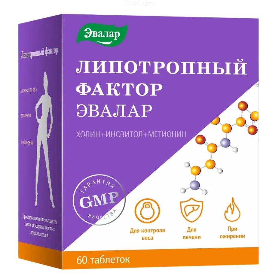 Липотропный фактор таблетки покрт. об. массой 1,2 г 60 шт.