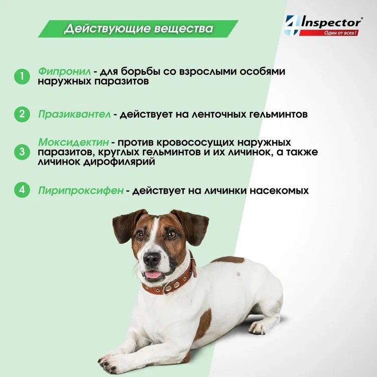 Капли Inspector Quadro С от блох и клещей для собак от 4 до 10 кг 3 шт. в уп. — фото 1