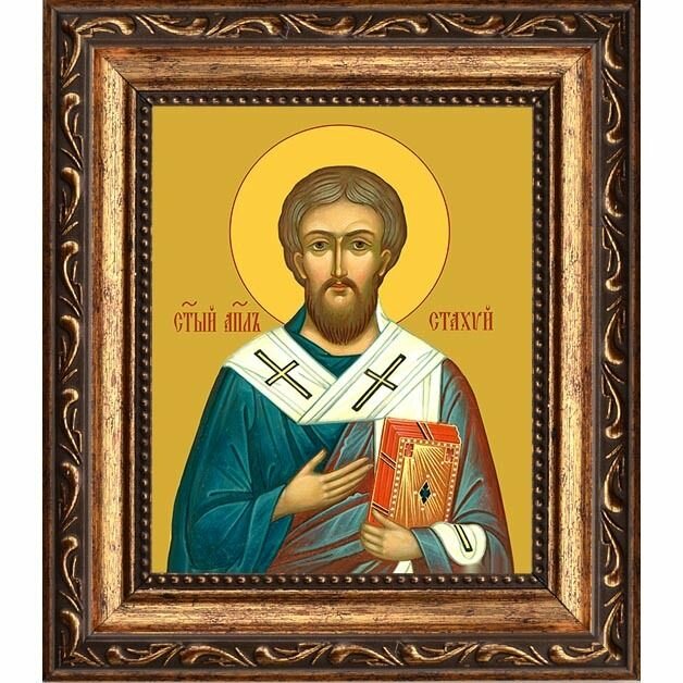 Стахий Святой апостол, епископ Византийский. Икона на холсте. (10 х 12 см / В раме)