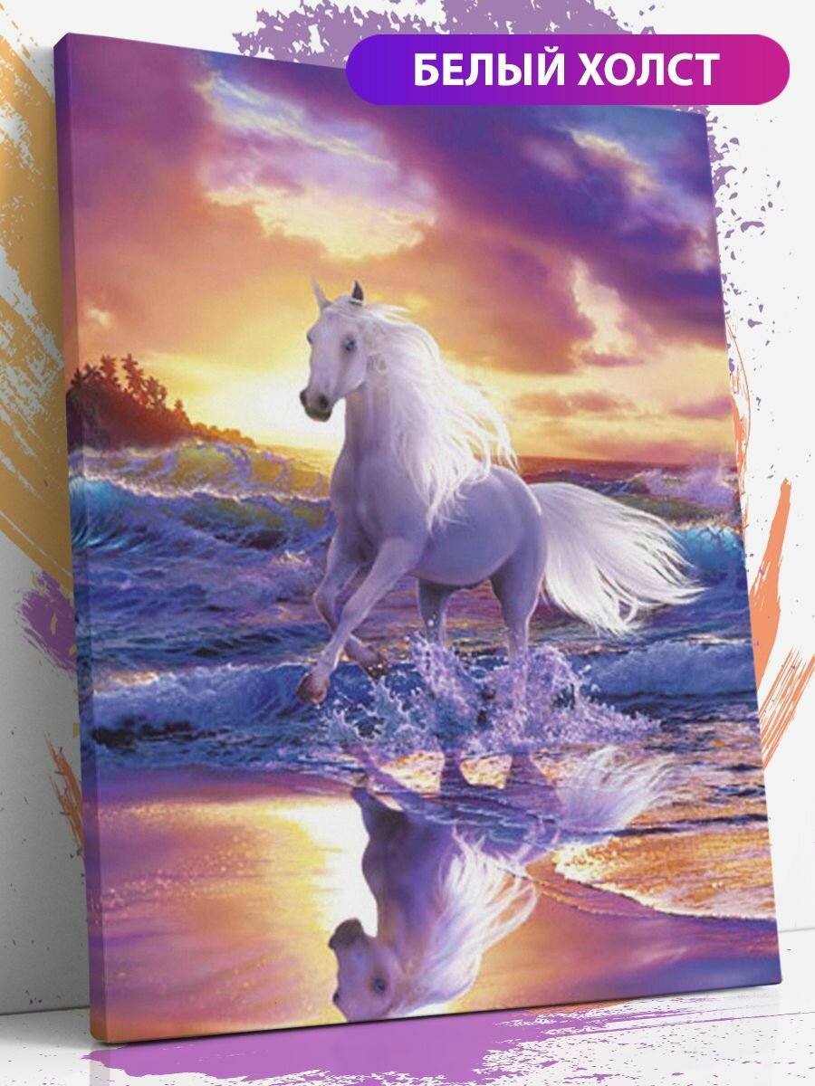 Картина по номерам на холсте с подрамником, "Закат, море, белогривая лошадь", 40х50 см