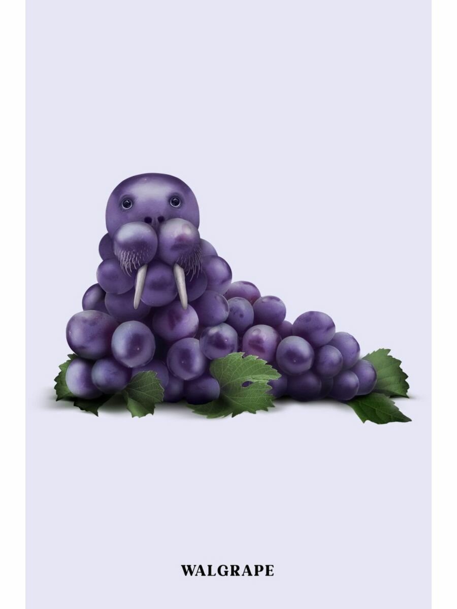 Постер "Виноградный морж"