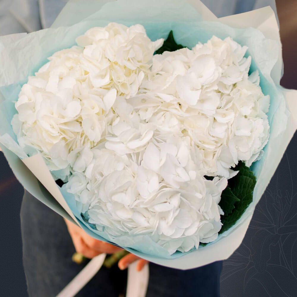 Классический букет из 3 белых гортензии в корейской пленке от 2name Flowers