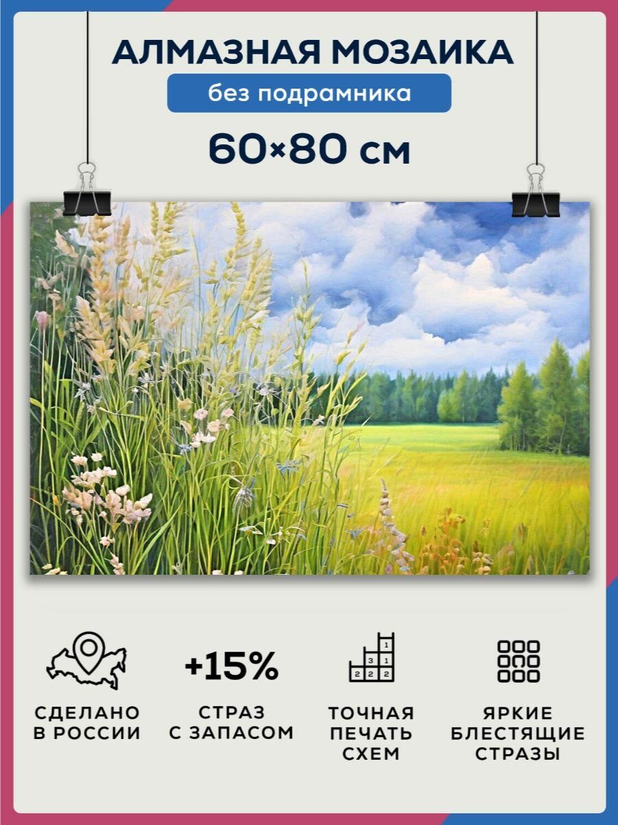 Алмазная мозаика 60x80 Полевые цветы без подрамника