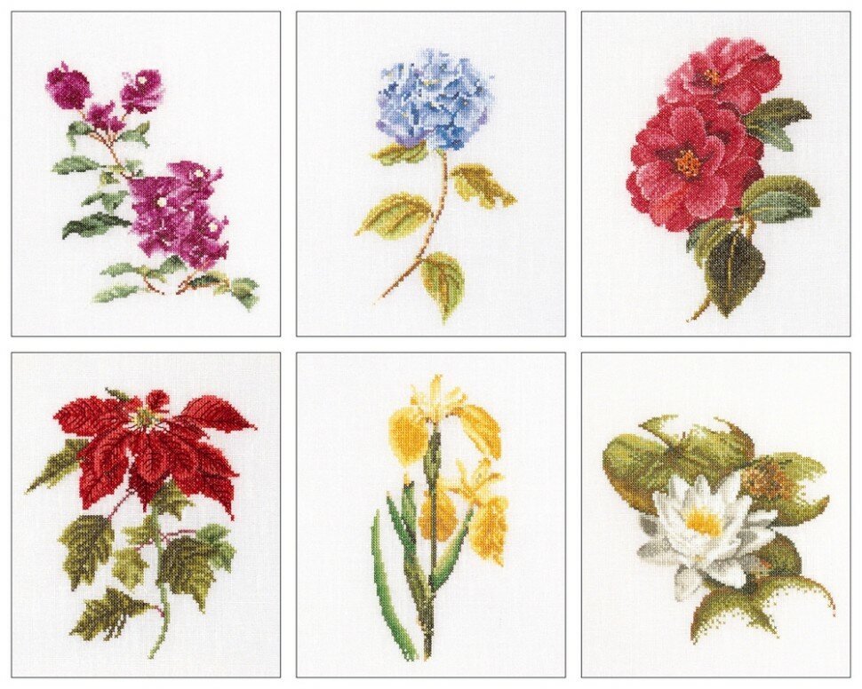 Набор для вышивания Thea Gouverneur #3087 Six Floral Studies (Шесть цветочных этюдов), Счетный крест, 17 x 20 x 6 см