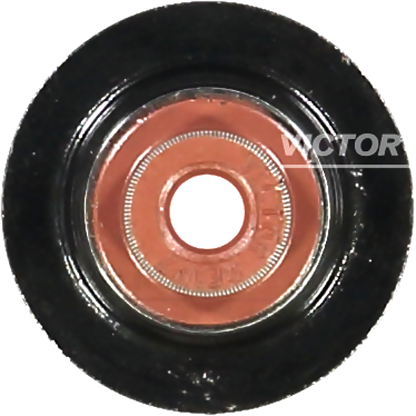 REINZ 70-35544-00 (1206655 / 703554400 / 8694964) колпачки маслосъемные (1) ex\ Ford (Форд) Fiesta (Фиеста) / Focus (Фокус)