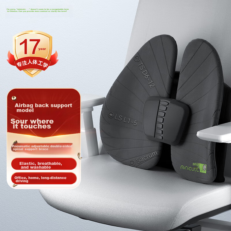 Minicute Lumbar Support Cushion, Ergonomic Chair Backrest, Car And Office Lumbar Support, Spine Protection Pillow