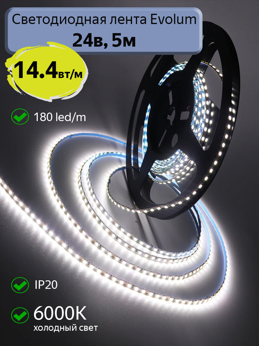 Светодиодная лента Evolum, 24В, 14,4Вт/м, 6000К холодный свет, 180 led/m, IP20, 5м