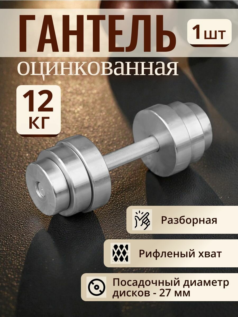 Гантель разборная оцинкованная 12 кг
