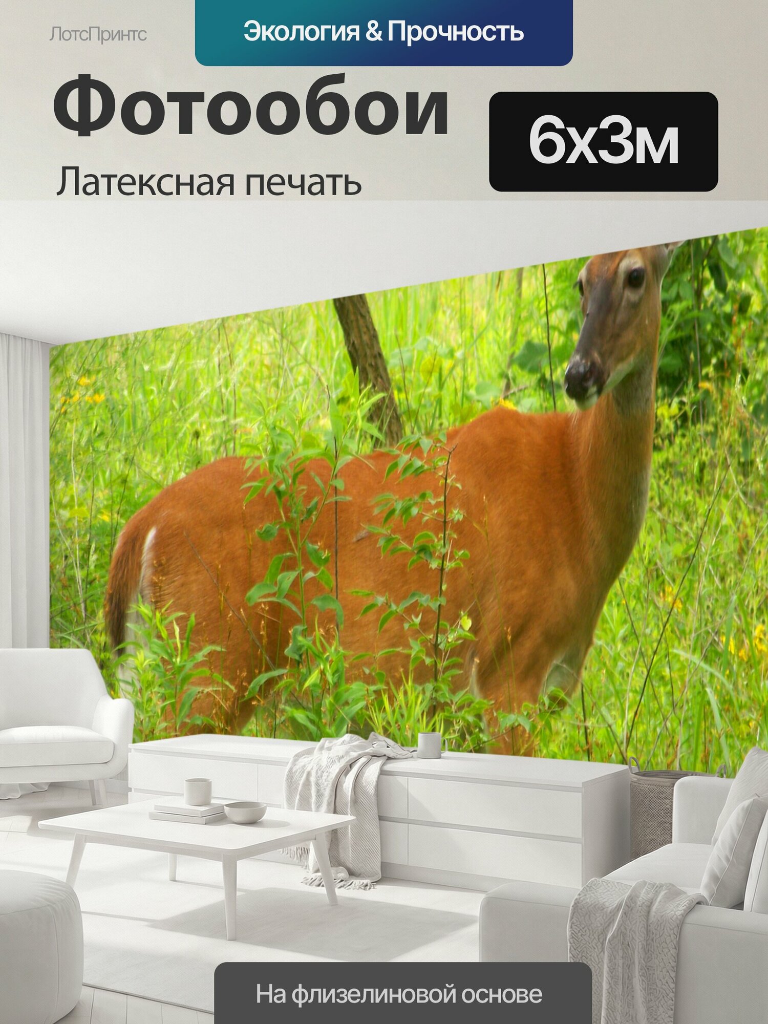 Фотообои моющиеся ударопрочные "Дир Оленей в лесу олень лань леса деревья лето" 600x300 см. латексная печать