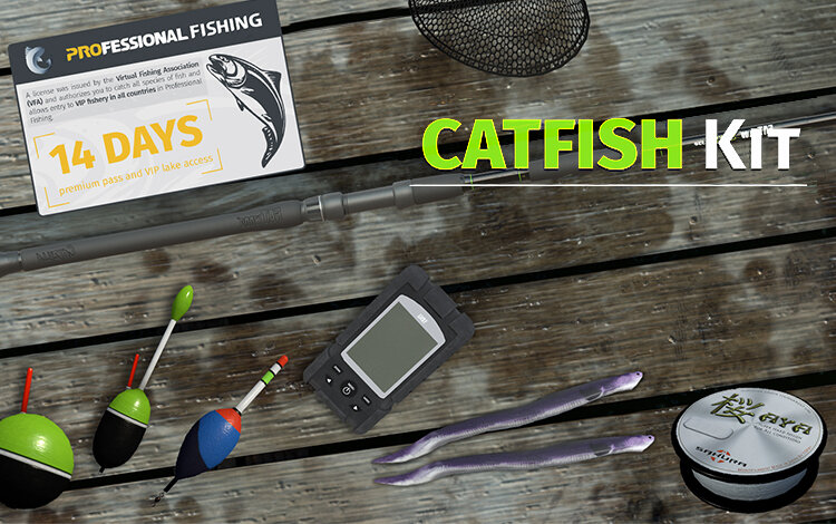 Professional Fishing: Catfish Kit (Steam; PC; Регион активации РФ)