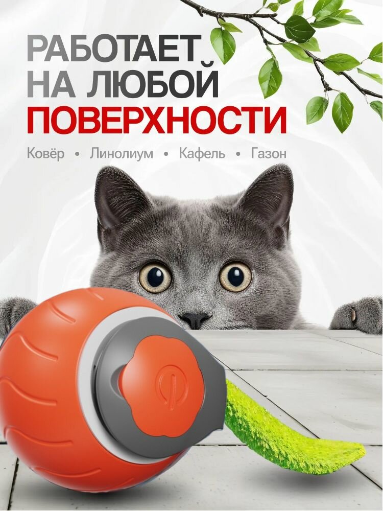 Игрушка для животных — фото 1