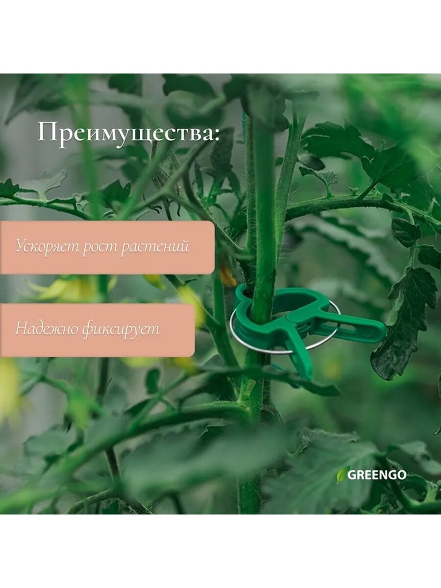 Комплект для крепления растений: прищепки и подвязки