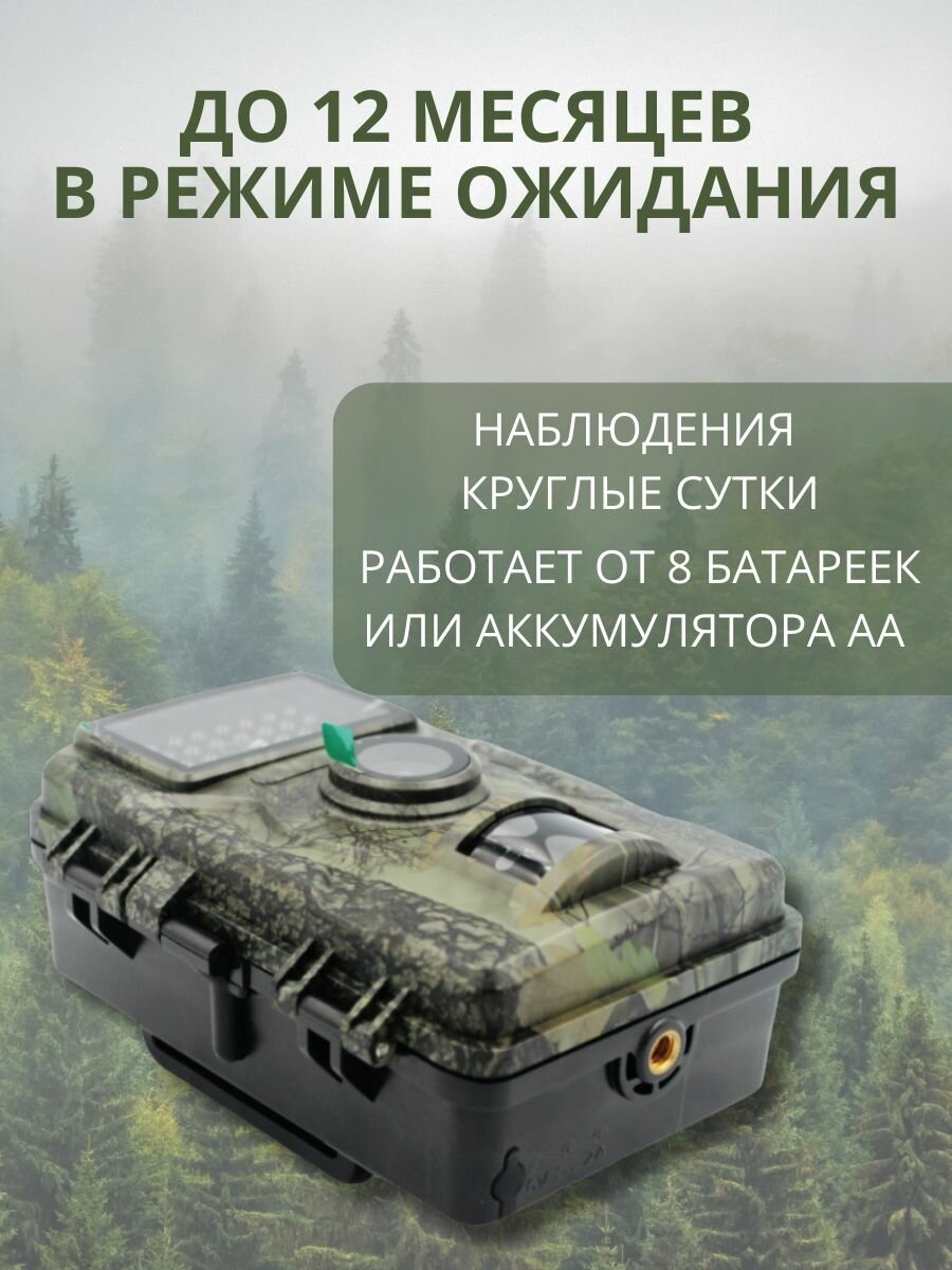 Фотоловушка — фото 1