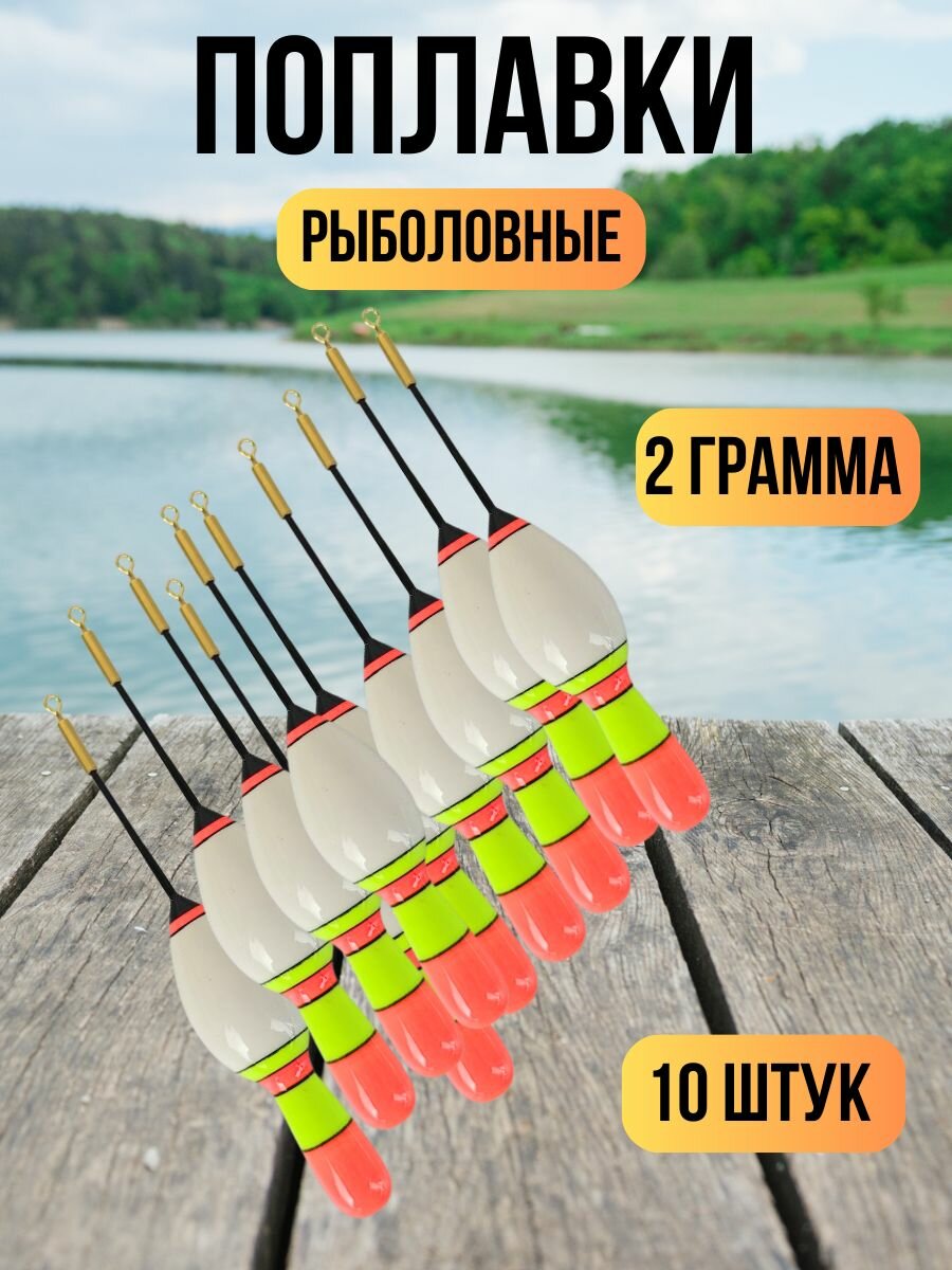 Поплавки для рыбалки 10 штук / Набор поплавков для дальнего заброса вес 2 грамма