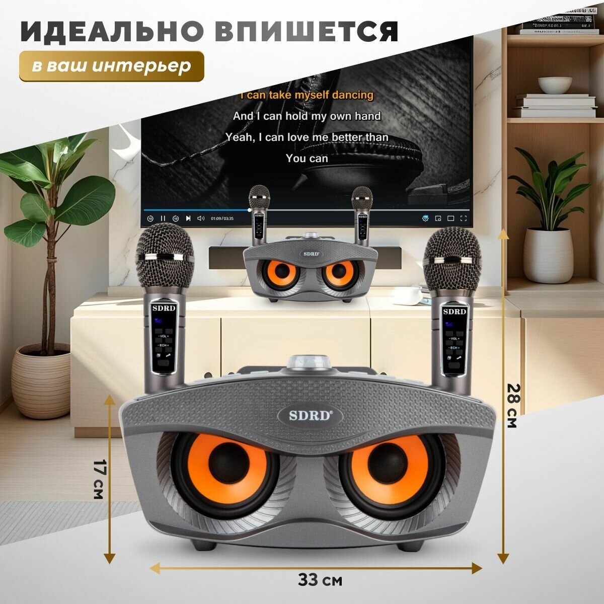 Караоке-система — фото 1