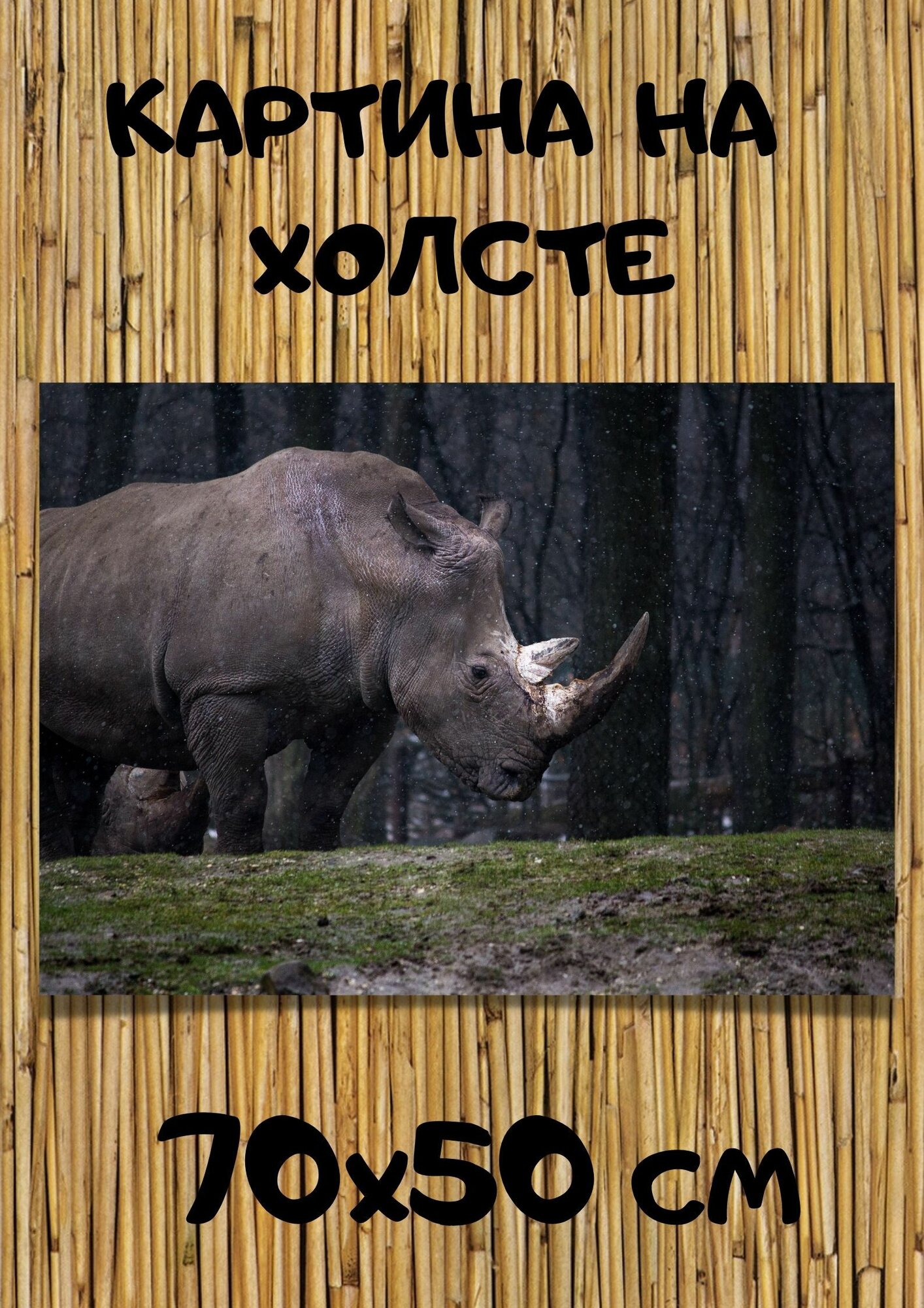 Картина с дикими животными "Грозный носорог" 70х50 см