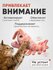 Игрушка для животных