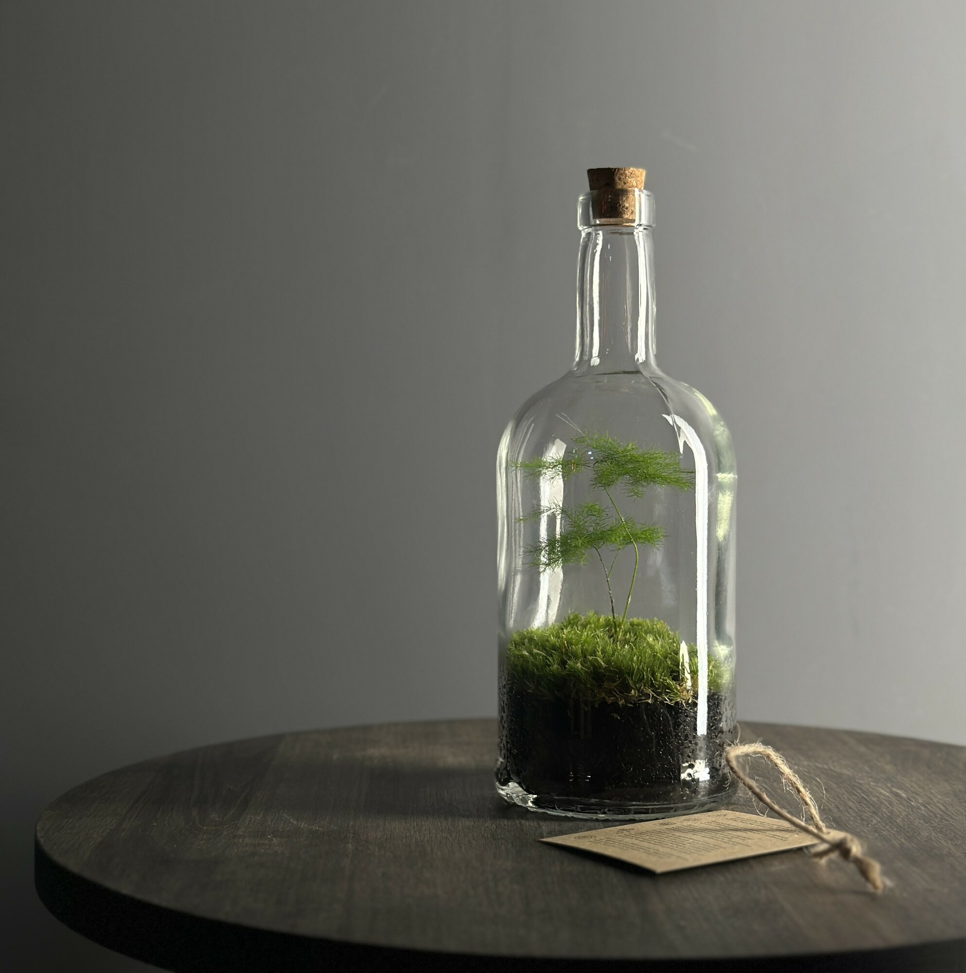 Флорариум в бутылке/ мини-флорариум с мини-растением от "Неопьюр"
