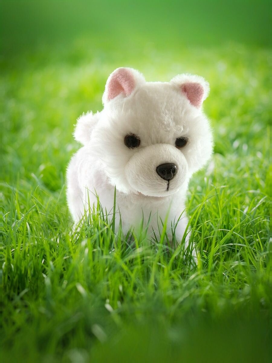 OUR GENERATION Щенок Американская эскимосская мягкий питомец 15 см для детей от 3 лет