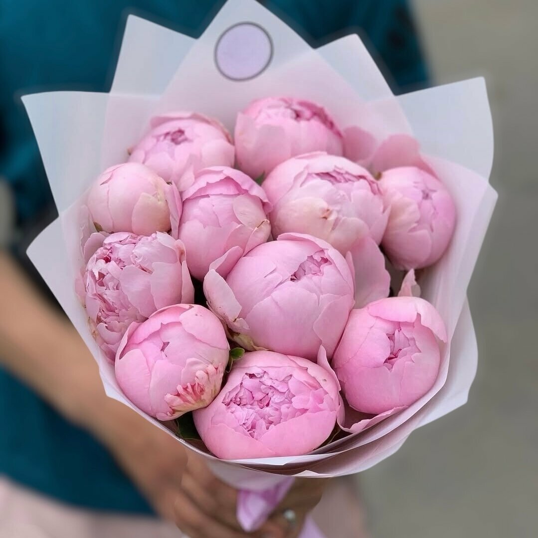 Букет из розовых пионов 11 шт, красивый букет цветов, шикарный, премиум цветы, премиум букет