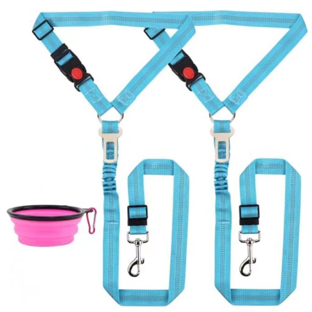 Собачий поводок поводок Маленькая собака Средняя собака Большая собака выгуливает собачью веревку голубой