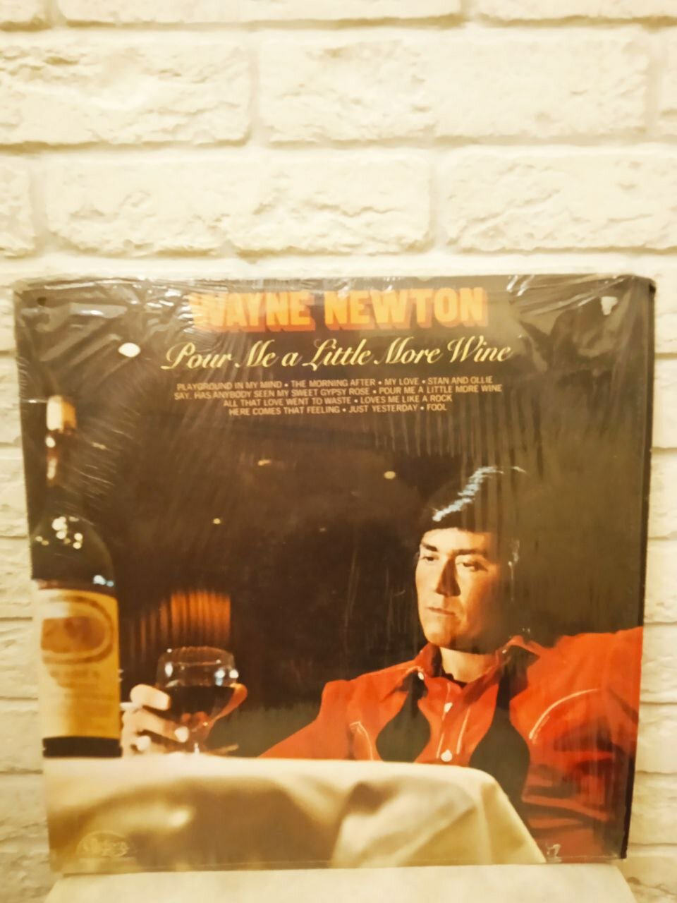 Виниловая пластинка Wayne Newton - Pour Me A Little More Wine (LP)