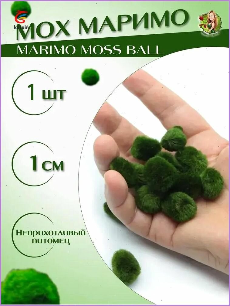 Милые шарики маримо, 1 шт.