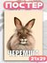 Постеры на стену Черемша мем , плакат 1шт, А4 размер.