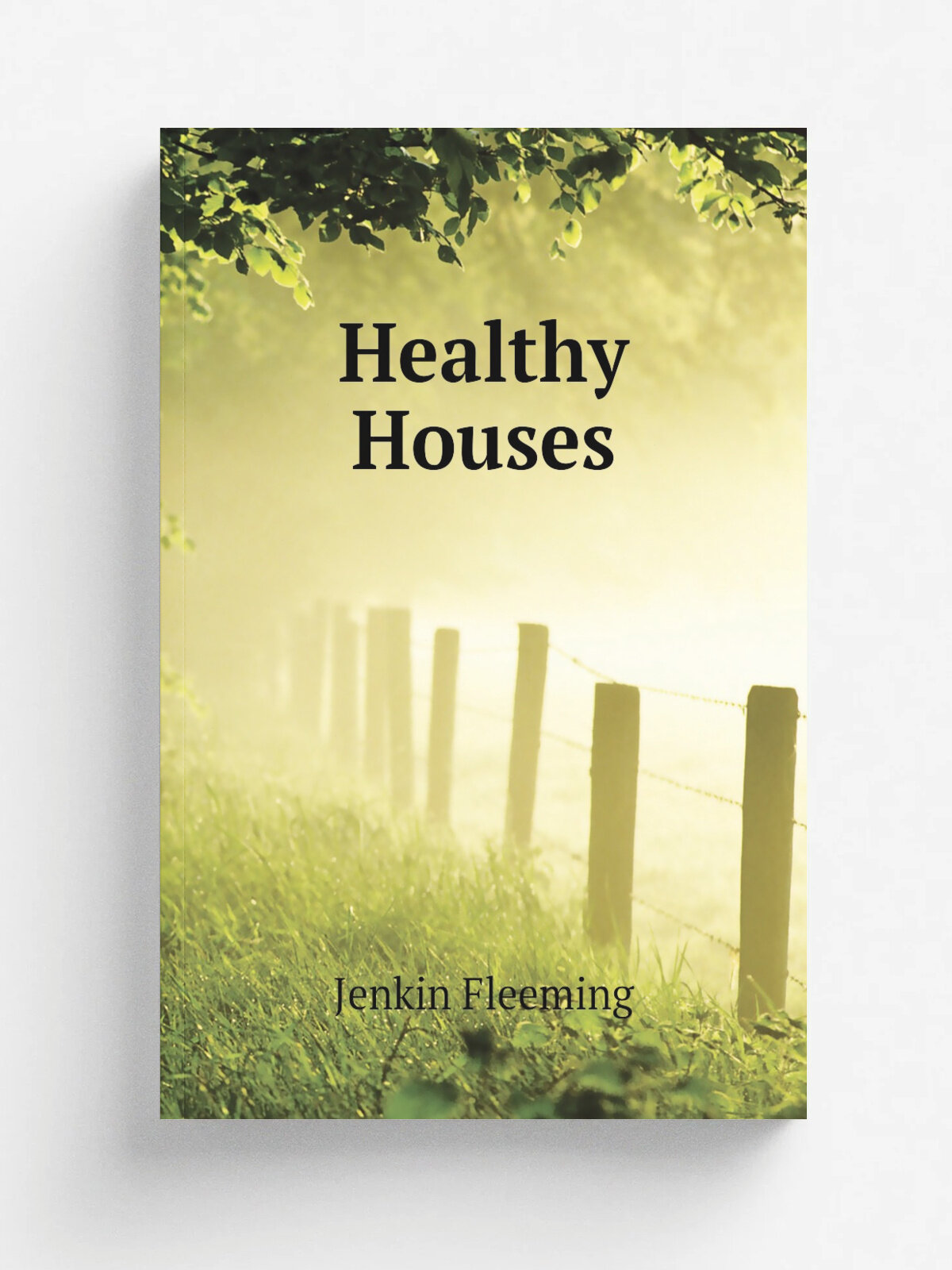 Healthy Houses | Jenkin Fleeming | Репринт