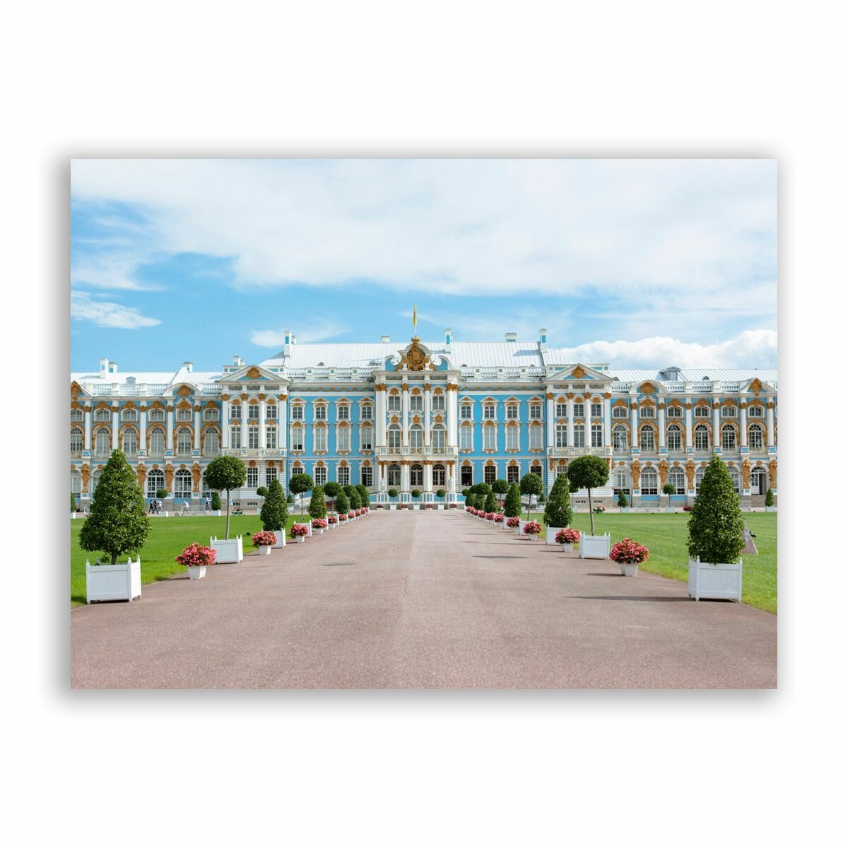 Постер, плакат на бумаге / Санкт-Петербург - Большой Екатерининский дворец / Размер 60 x 80 см